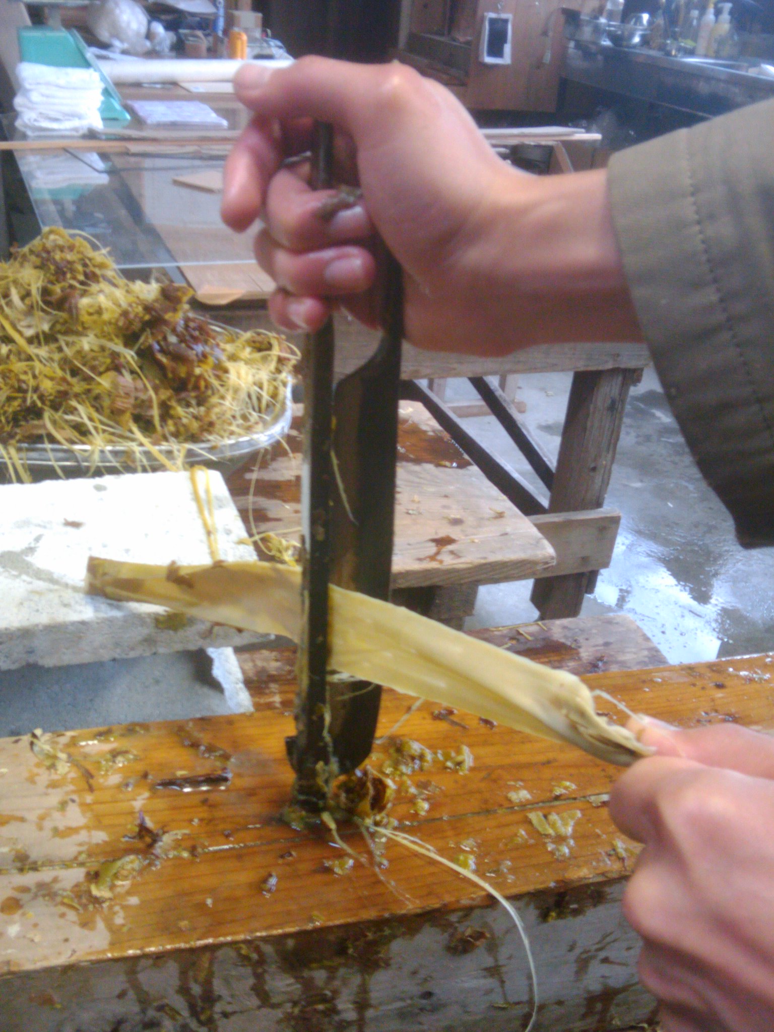 Separating outer part of Mitsumata material