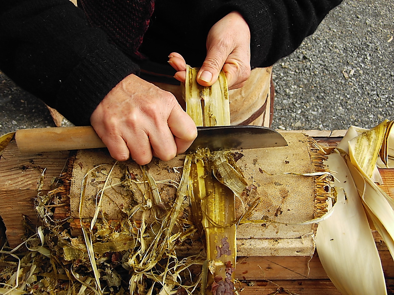 Separating outer part of Mitsumata material
